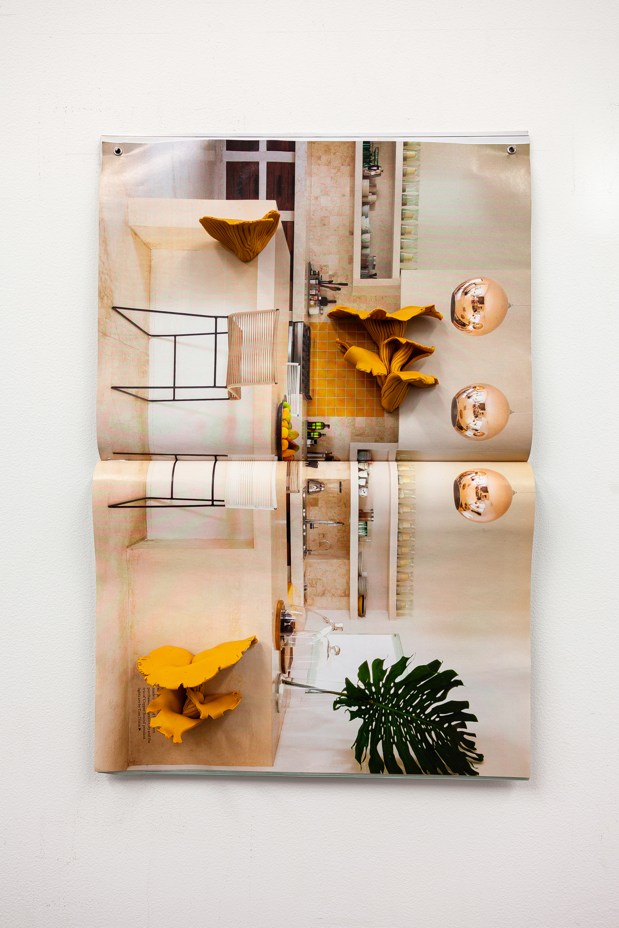 Home Grown - Rachel Adams
